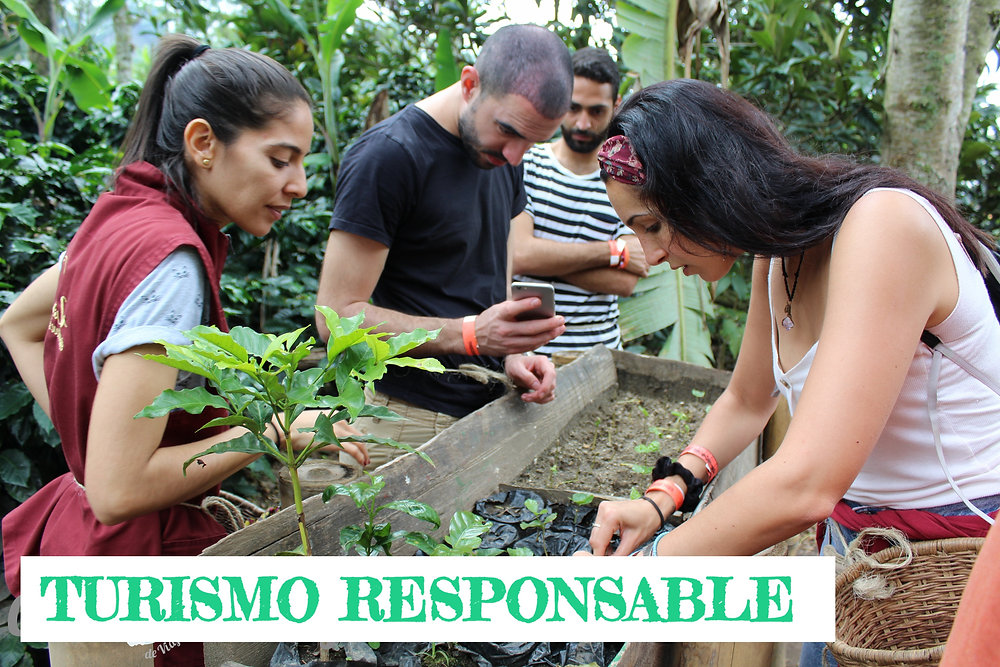 Remando por un turismo responsable