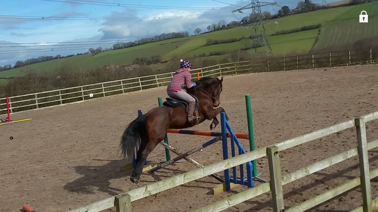 Home | Greenacres Stables