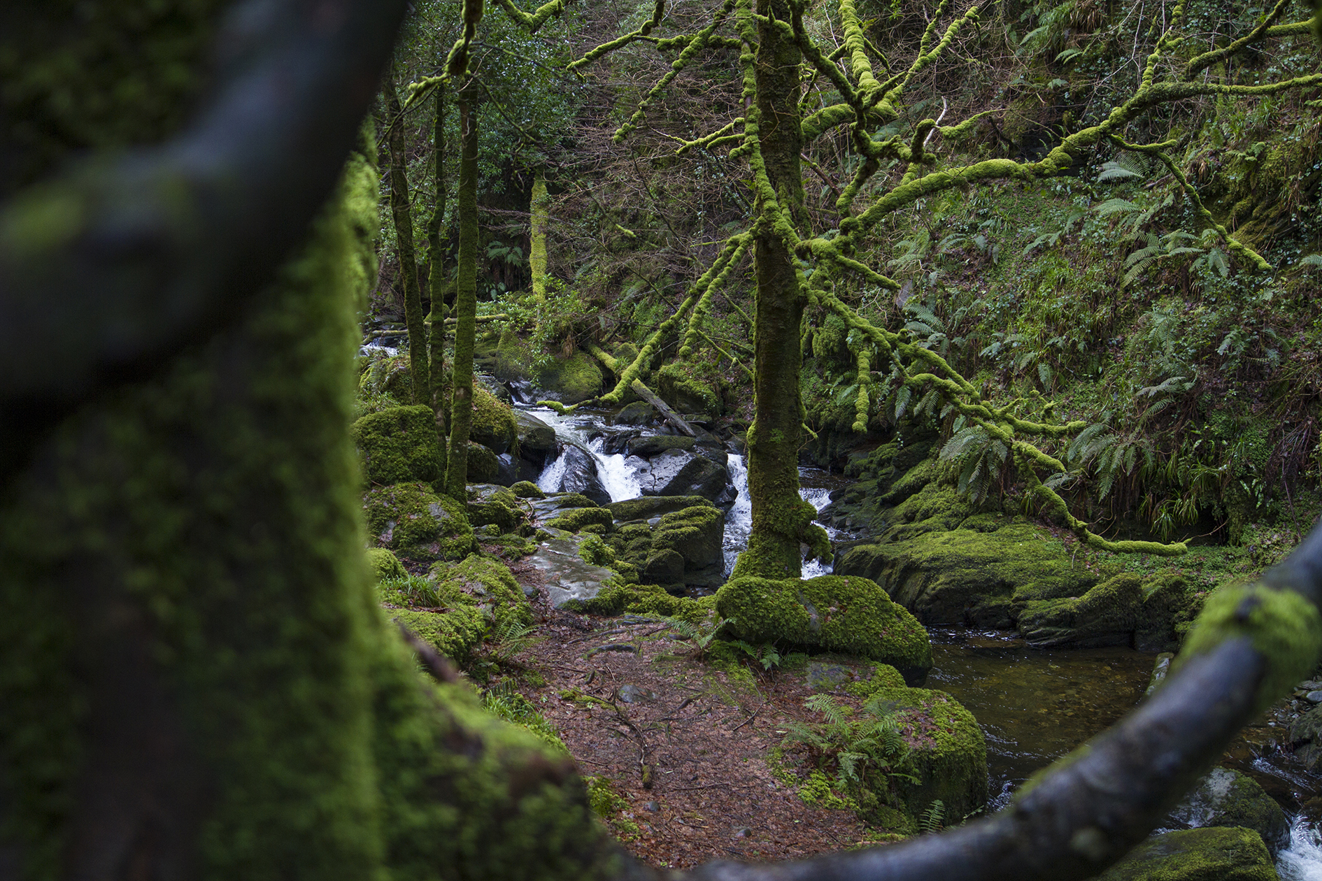 Design e Arquitectura em Almada | Fotografia e Video