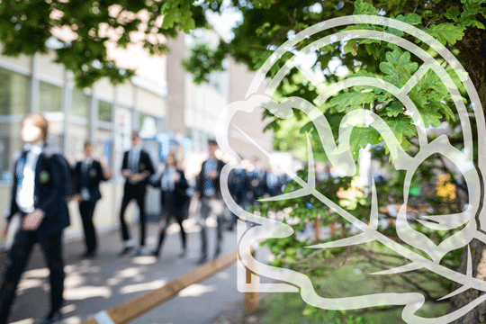 Uniform expectations letter