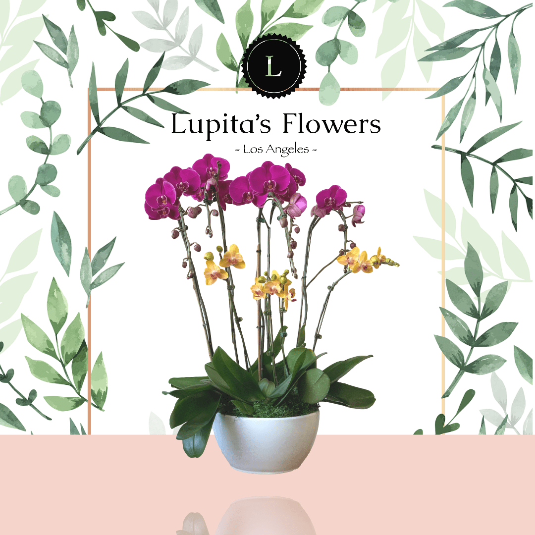Lupita's Flowers