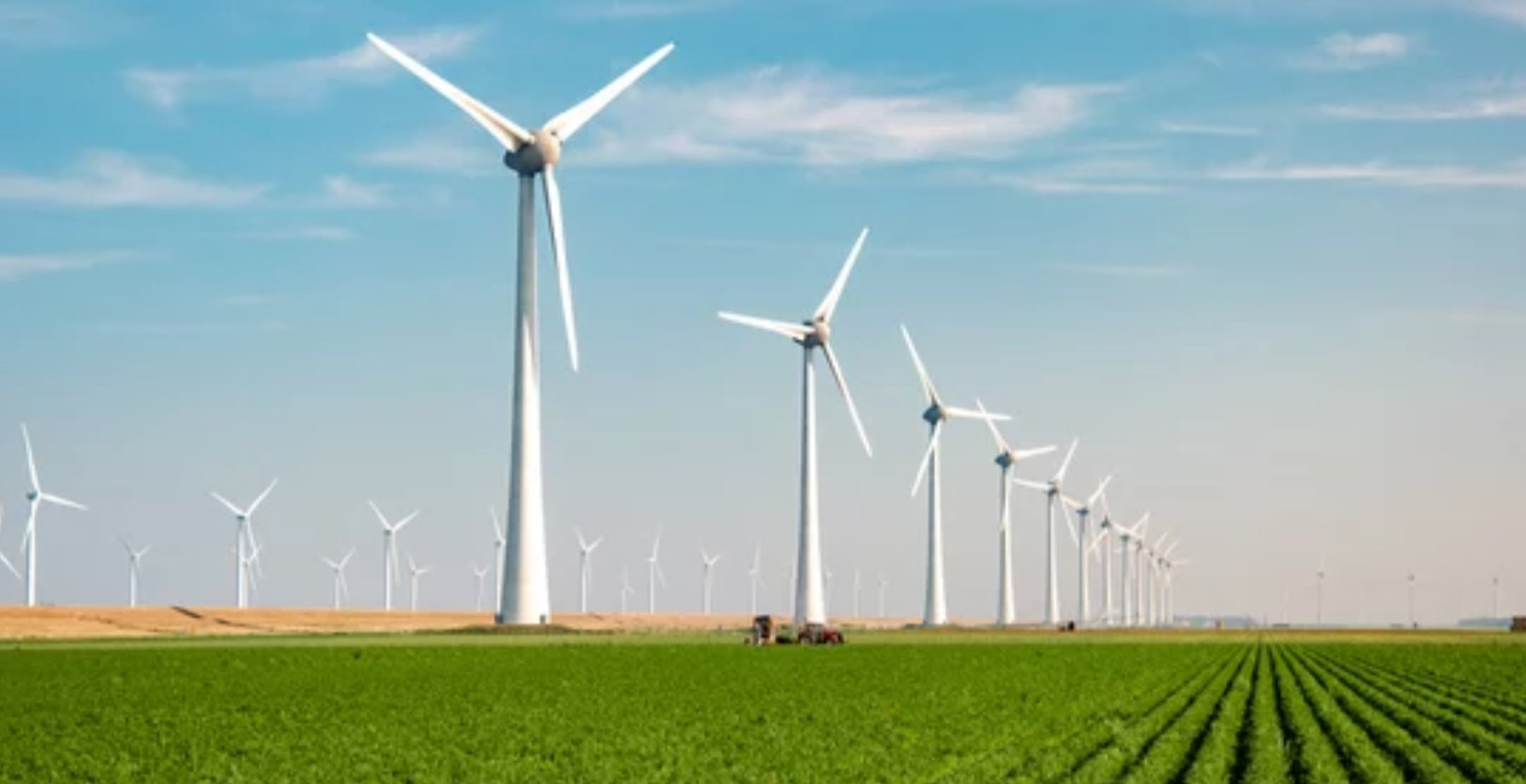 Case Study: The Sunrise Project