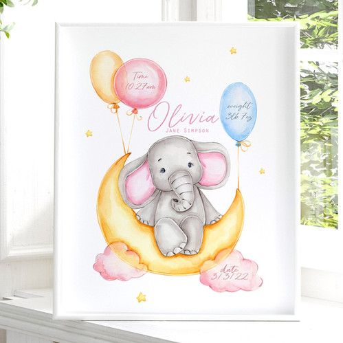 BABY GIRL Elephant Birth Details Picture | The Whistling Wren