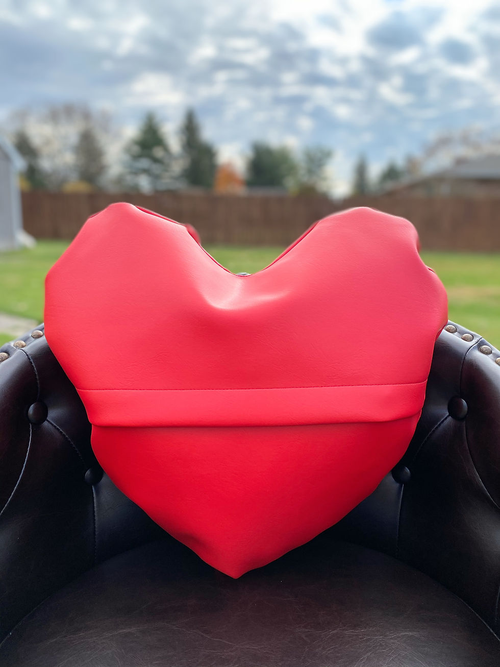 HEALING HEARTS PILLOWS | The Cardiac Bear