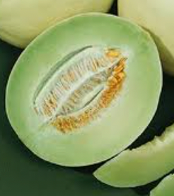 Melon, Green Flesh Honeydew | Shop