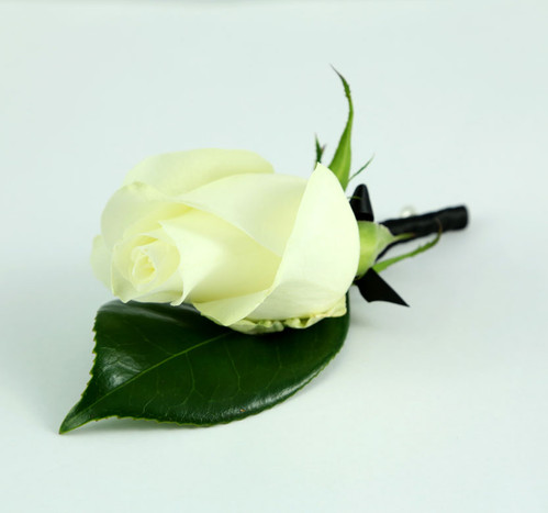 Standard Button Hole | CountryGardenFlowers