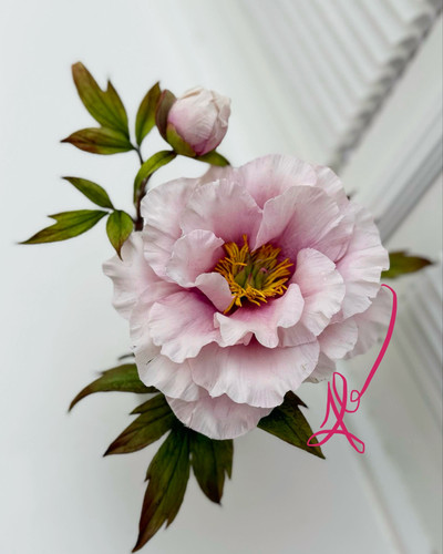 Open Peony - Online Class - pre order | Alan Dunn Floral