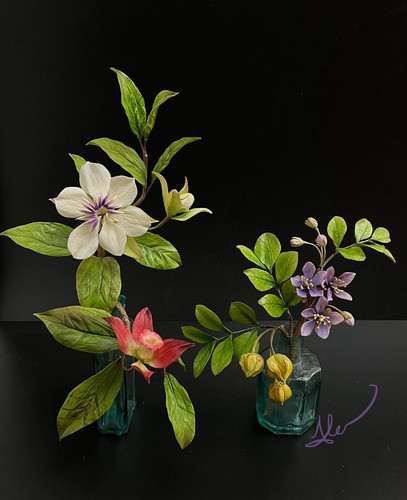 Blakea Tree and Lignum Tree Flowers and Fruit- Online Class | Alan Dunn ...