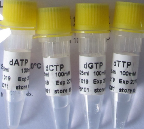 dNTP Set | medicobio