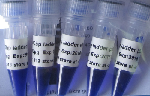 100bp ladder plus | medicobio