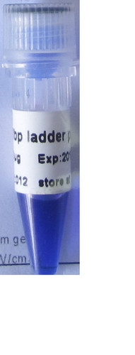 50bp ladder plus | medicobio