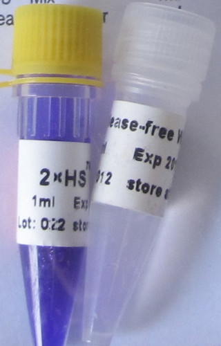 Hot Start Taq Mix (2X) | medicobio