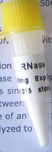 RNase A (Lyophilized Powder) - 100 mg | medicobio