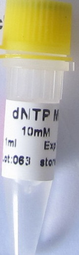 dNTP Mix (10mM) | medicobio