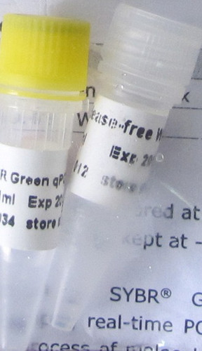 SYBR Green qPCR Mix | medicobio