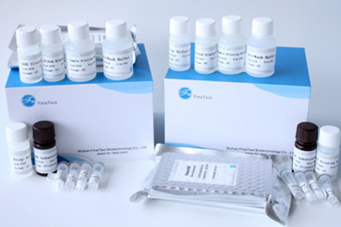 MTT-Cell Based Proliferation/Toxicity Assay Kit