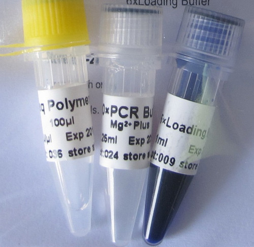 Taq DNA Polymerase | medicobio