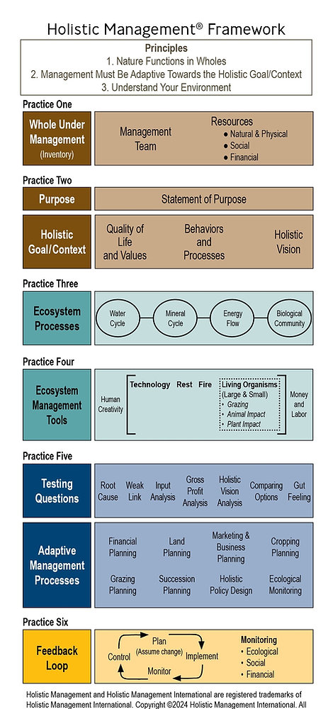 A Regenerative Strategy: Embracing an update to the Holistic Management ...