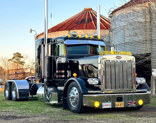 Peterbilt 379EXHD/Short hood Bug Shield | Bug Shields By Dane