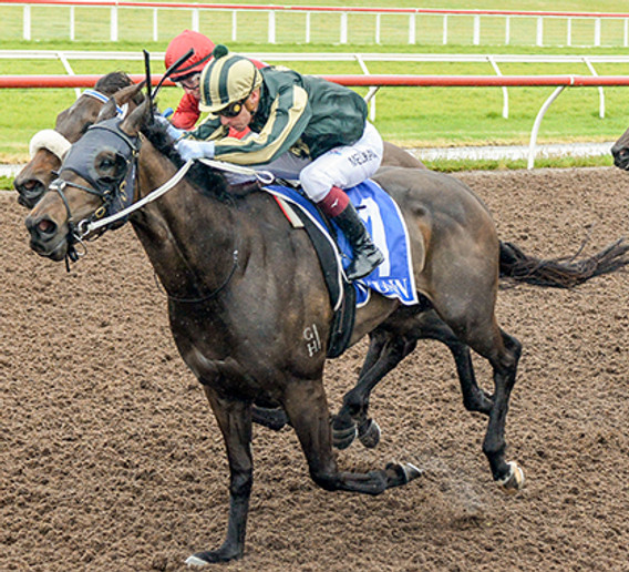 Stable | Viva Racing