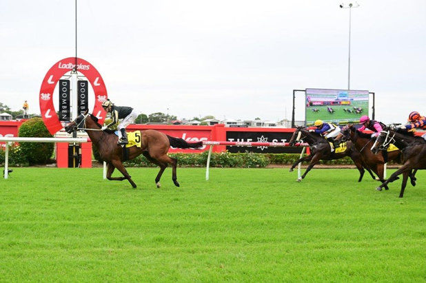 Latest News | Viva Racing