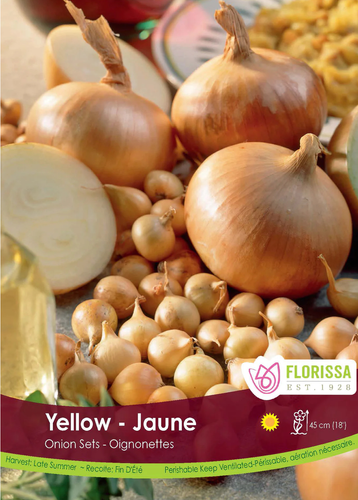 bulk Yellow Onion Set, Stuttgart (1 LB) | Hotchkissflowerfarm