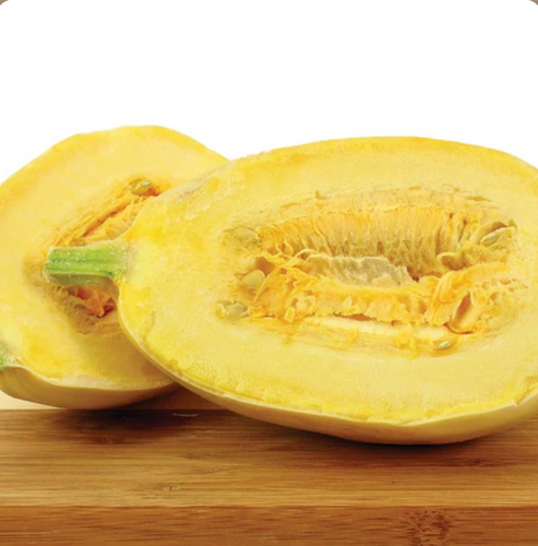 Small Wonder, spaghetti squash | Hotchkissflowerfarm