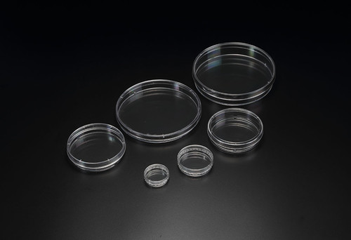 20100 Cell Culture Dishes 100x20, SPL | 네오사이언스