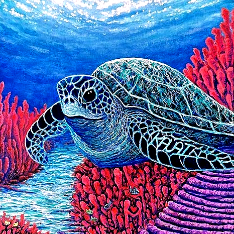 Aloha Honu | Mysite