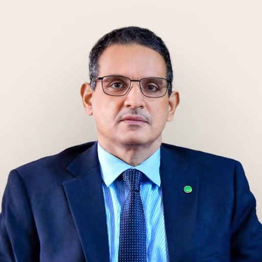 Abdel Aziz Dahi | Mauritanides