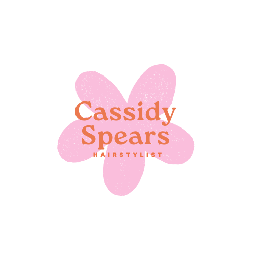 HOME | Cassidy Spears, Blonde and Extension Specialist, Dayton OH