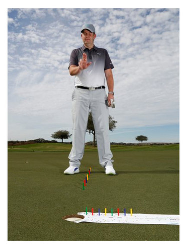 AimPoint Express Calibration Strips H | Greenside Golf