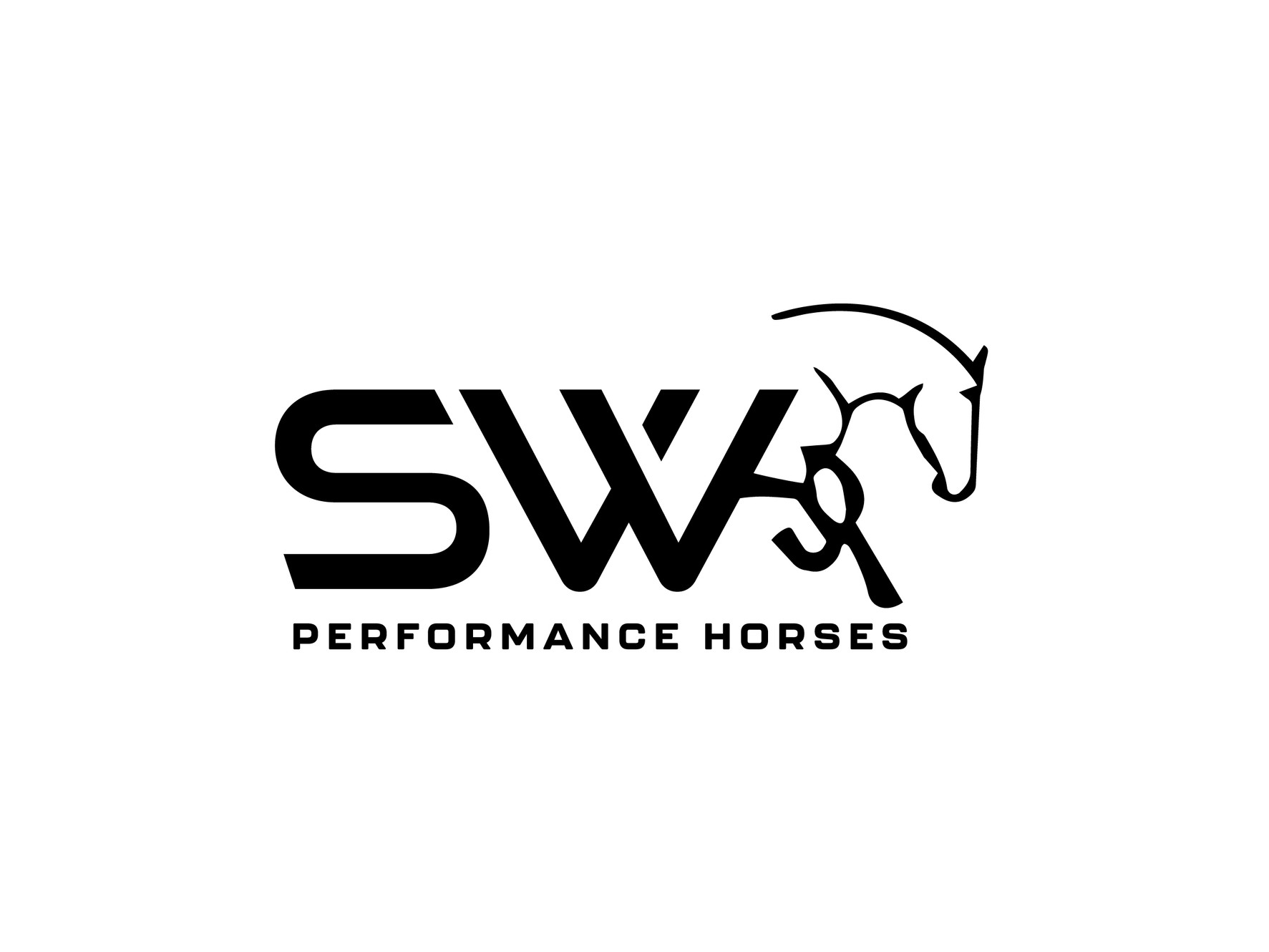 SW Performance Horses | Pferdetrainer | Dorfstraße 14, 99441 Mechelroda ...