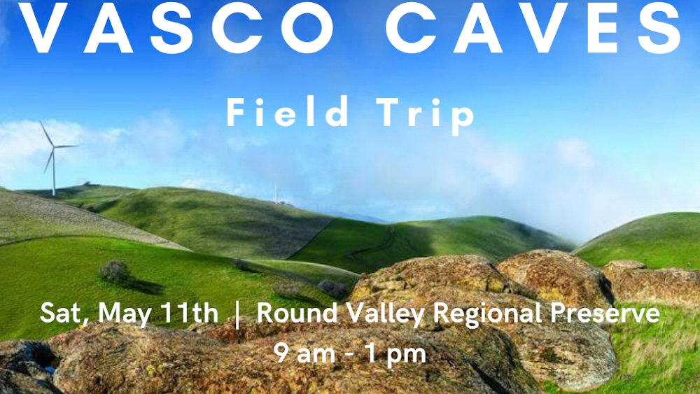 Vasco Caves Field Trip | SFBA TWS