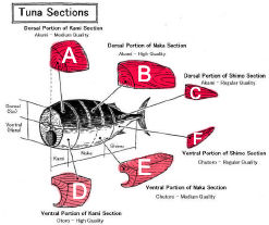 How Do You Prepare Tuna for Sushi?