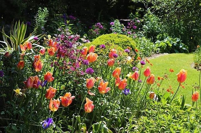 Open Garden in Wicklow | Patthana Garden Ireland | Kiltegan
