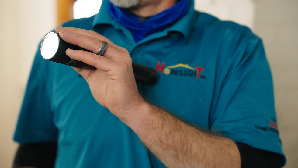 Discover your potential as a home inspector with our home inspector ...