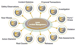 SAP EHS, EHSM, EC and GRC Risk Management Consulting Services