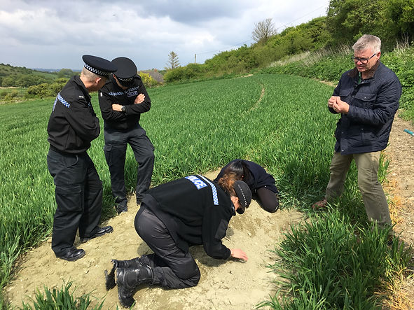 Badger Trust: Report Badgers, Stop Badger Cull, Prevent Badger Crime in ...