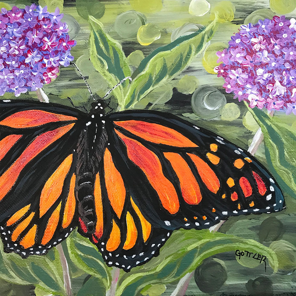 Painter's Pond Membership | The Painted Toad