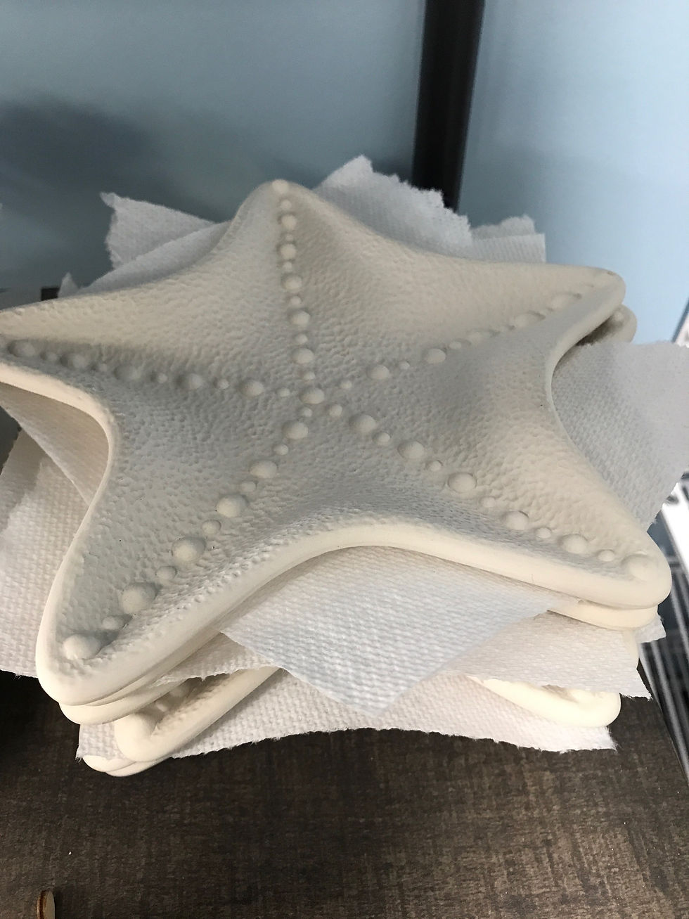 Shop | The Painted Toad