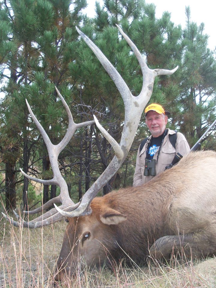 Elk Hunts | skylineoutfitters