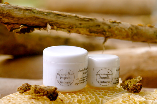 Propolis Ointment | ilogmaria