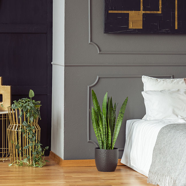 How To Use Moulding for an Easy DIY Wood Trim Accent Wall