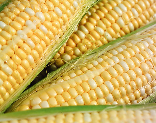 Our Produce (All) | Chary Produce