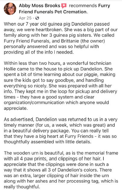 Furry Friend Funerals - Pet Cremation Service | Animal Cremation