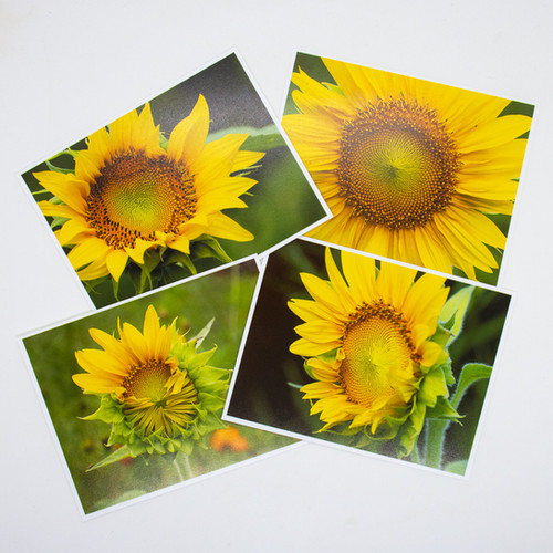 Small card 8-pack | Sunflower Collection | Wren Photography