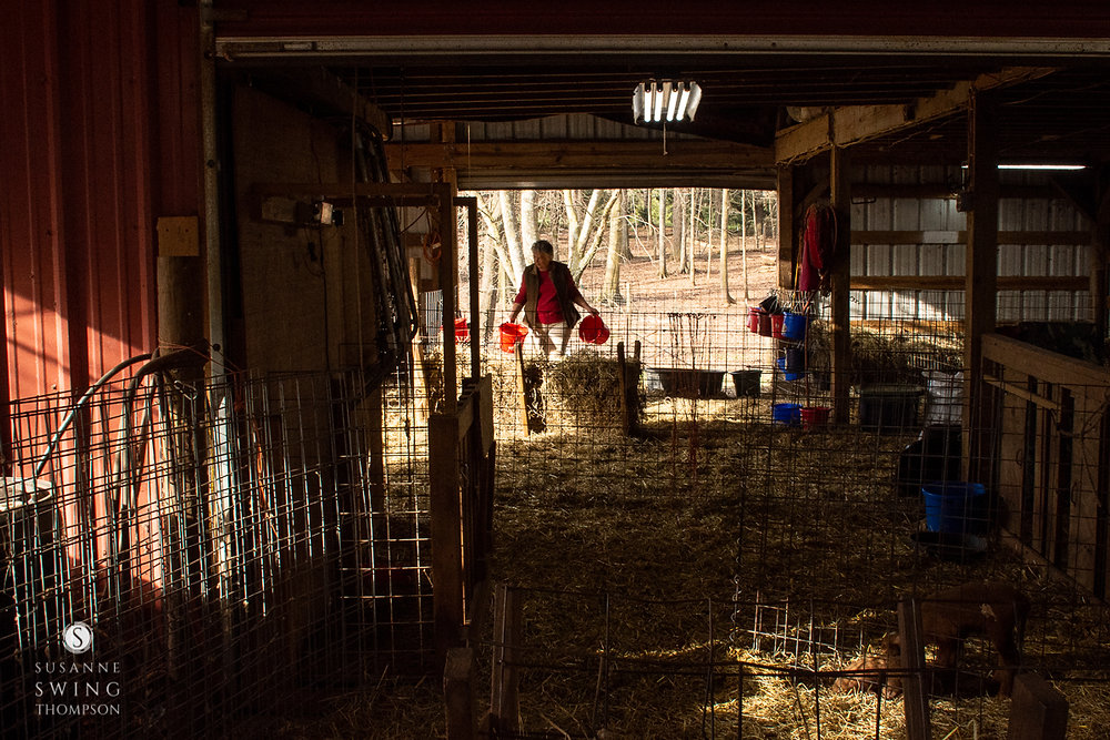 Sheepcote Farm - A Connected Heritage