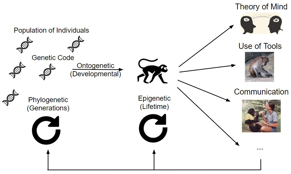 Biologically Inspired Artificial Intelligence | Anil Yaman