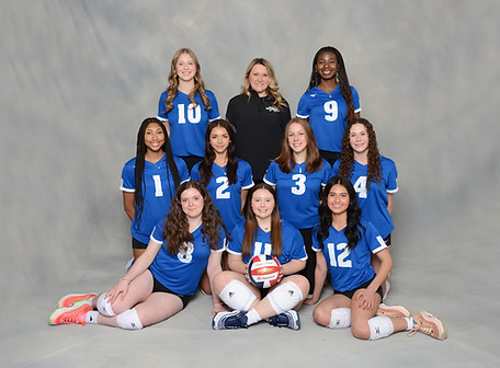 Teams | Summit Volleyball